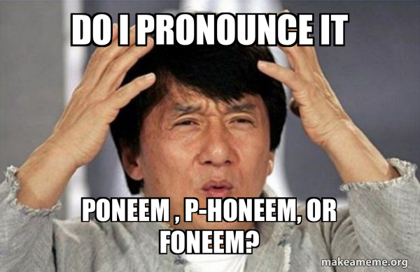 Do I pronounce it Poneem , p-honeem, or foneem? - Jackie Chan Why? Meme ...