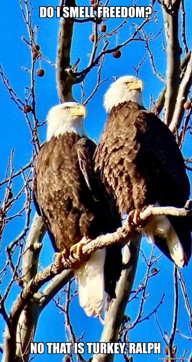 Do i smell freedom? No That is turkey, Ralph Meme Generator