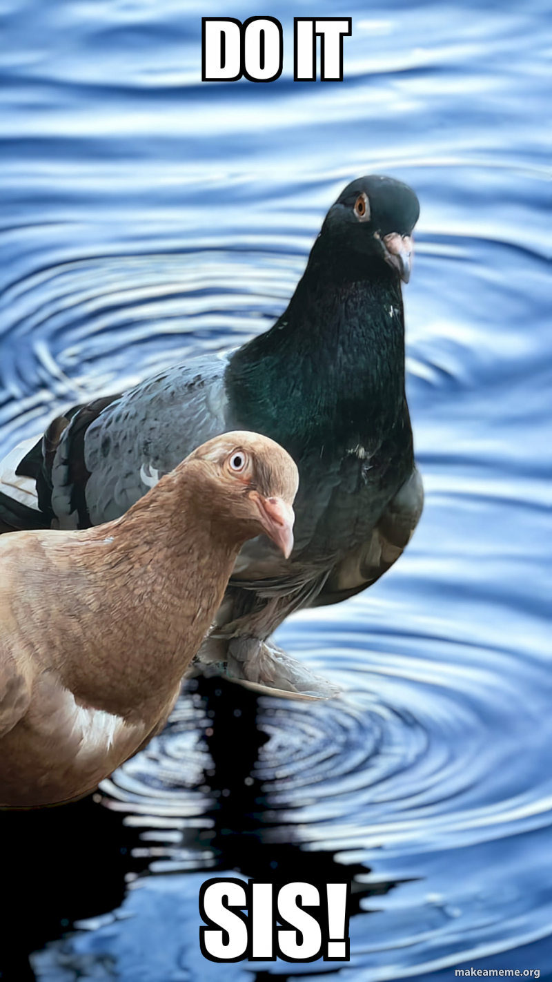 Do it SIS! Meme Generator