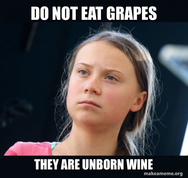 Do not eat grapes They are unborn wine - Greta Thunberg Meme Generator