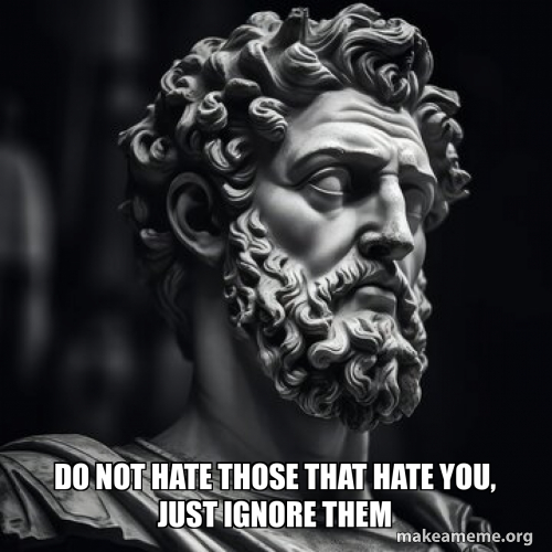 Do not hate those that hate you, just ignore them Meme Generator