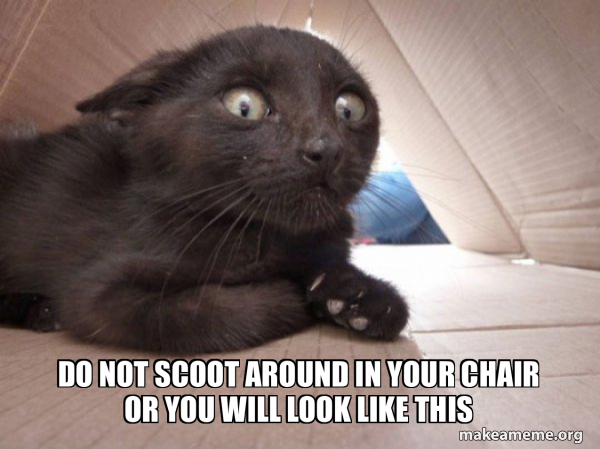 do not scoot around in your chair or you will look like this - Schitzo ...
