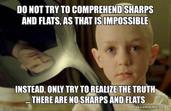 Do not try to comprehend sharps and flats, as that is impossible ...