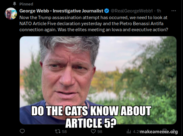 Do THE CATS KNOW ABOUT ARTICLE 5? Meme Generator