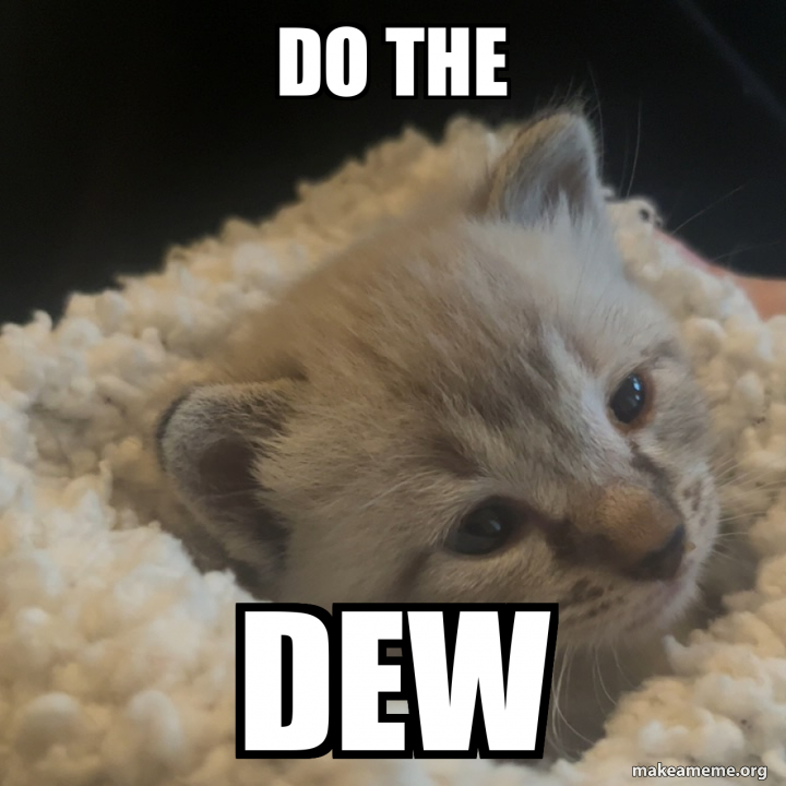 DO THE DEW Meme Generator