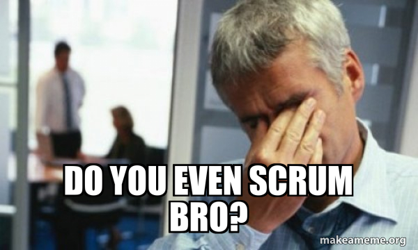 do you even scrum bro? - Male First World Problems Meme Generator