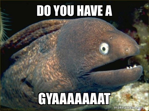DO YOU HAVE A GYAAAAAAAT - Bad Joke Eel Meme Generator