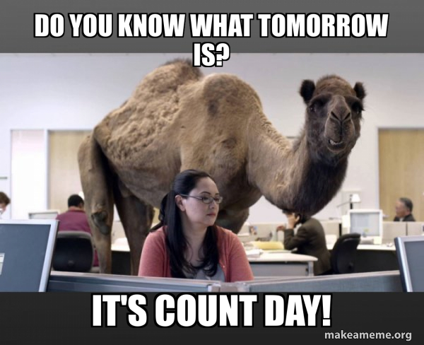 Do you know what tomorrow is? It's Count Day! - Hump Day Camel Meme ...