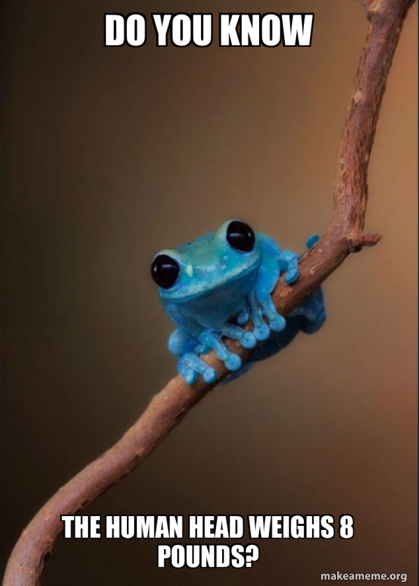 Do you know The human head weighs 8 pounds? - Small Fact Frog Meme ...