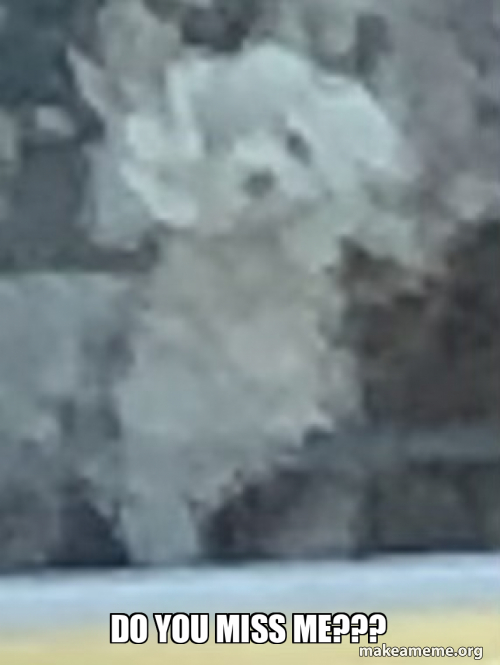 Do you miss me??? Meme Generator