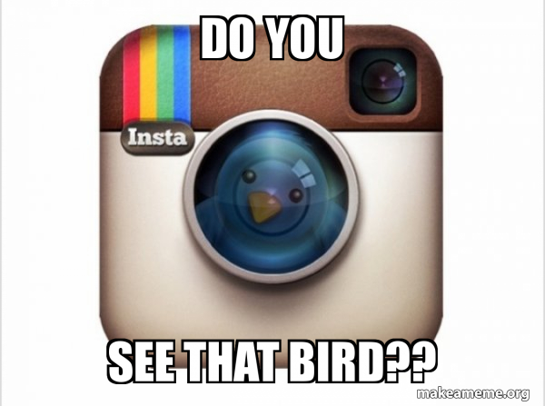 DO YOU SEE THAT BIRD?? - Instagram twitter Meme Generator