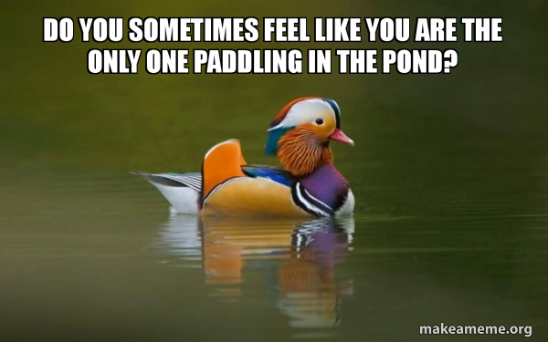 Do you sometimes feel like you are the only one paddling in the pond ...