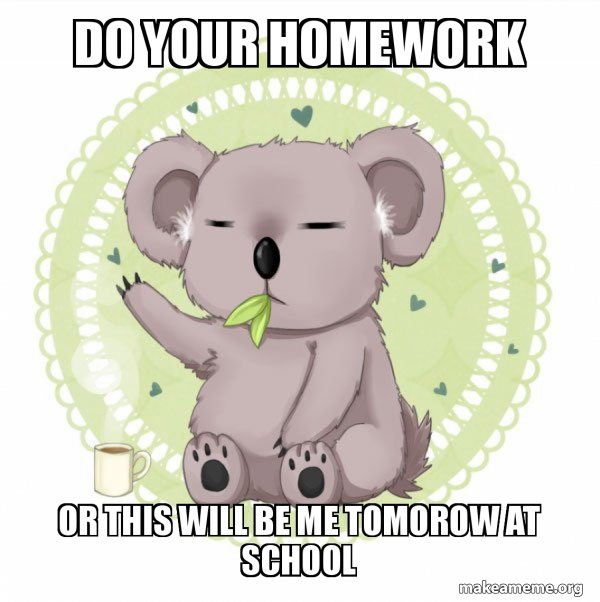 Do your homework or this will be me tomorow at school - Aussie Koala ...