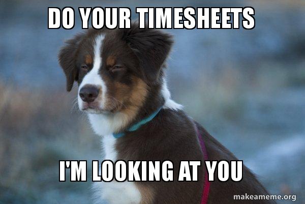 DO your timesheets I'm looking at you - Unsure Dog Meme Generator