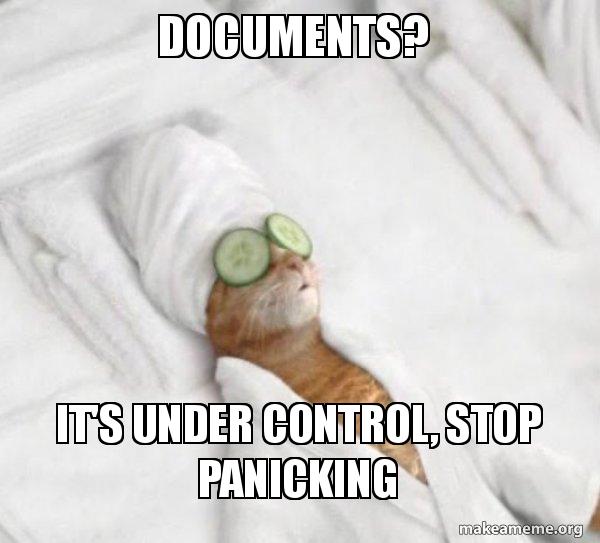 Document Control Memes