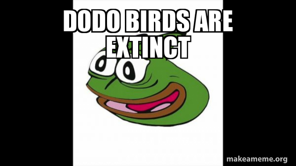 Dodo birds are extinct - Pepega Meme Generator