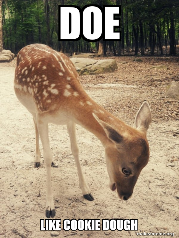 doe like cookie dough - O M G Deer Meme Generator