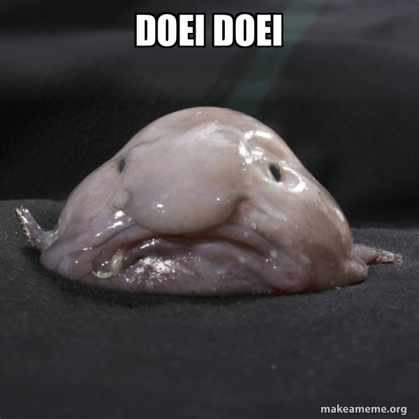 doei doei - Blobfish Meme Generator