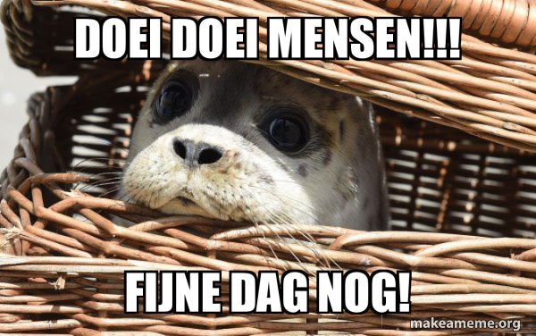 DOEI DOEI MENSEN!!! fijne dag nog! - Impending Doom Seal Meme Generator