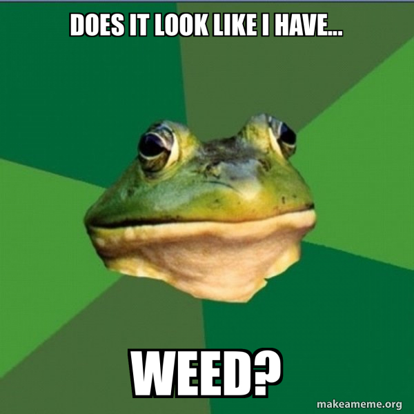 Does it look like I have... Weed? - Foul Bachelor Frog Meme Generator