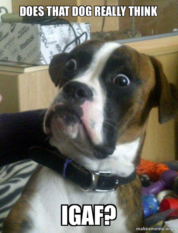 Does that dog really think Igaf? - Skeptical Dog Meme Generator