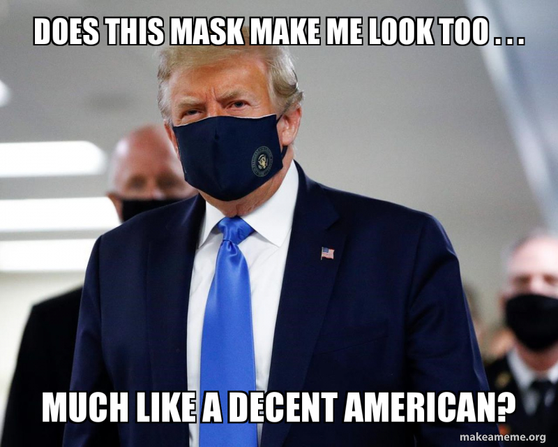Does this mask make me look too . . . much like a decent american? Meme ...