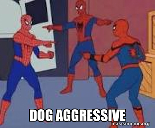 Dog Aggressive Meme Generator
