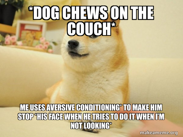 *dog chews on the couch* Me uses aversive conditioning* to make him ...