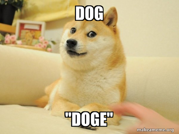 dog "doge" - Doge Meme Generator