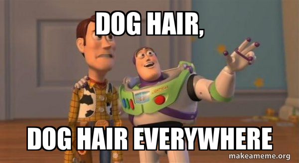 Dog hair, Dog hair everywhere - Buzz and Woody (Toy Story) Meme Meme ...