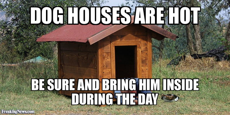 Dog houses are hot Be sure and bring him inside during the day Meme ...