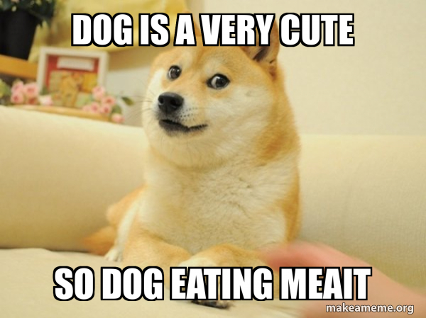 dog is a very cute So dog eating meait - Doge Meme Generator