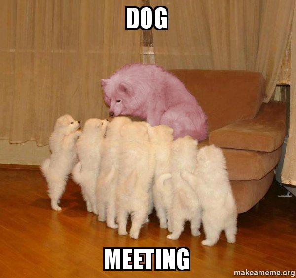 DOG MEETING - Malicious Storytelling Dog Meme Generator