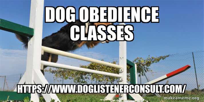 Dog Obedience Classes https://www.doglistenerconsult.com/ Meme Generator