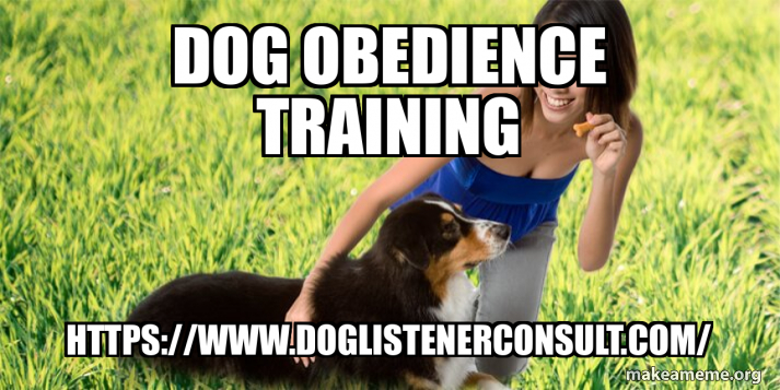 Dog Obedience Training https://www.doglistenerconsult.com/ Meme Generator