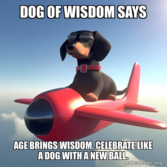 Dog of wisdom says Age brings wisdom. Celebrate like a dog with a new ball. Meme Generator