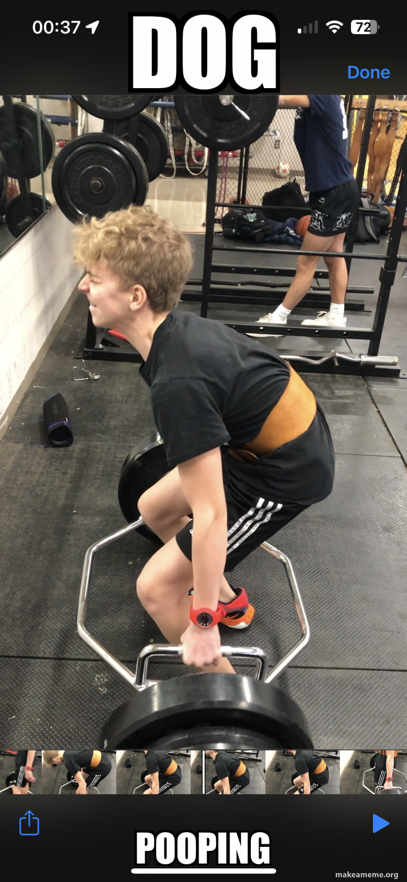 Dog Pooping Meme Generator