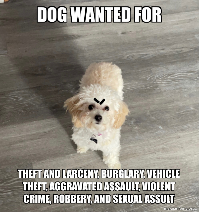 dog wanted for Theft and Larceny, Burglary, Vehicle Theft, Aggravated ...