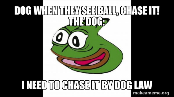 dog when they see ball, Chase it! The dog: i need to chase it by dog ...