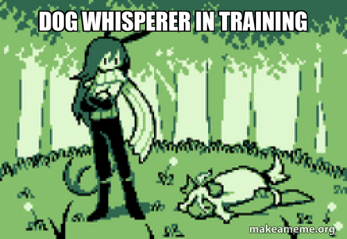 Dog whisperer in training Meme Generator