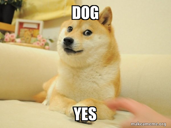 dog yes - Doge Meme Generator