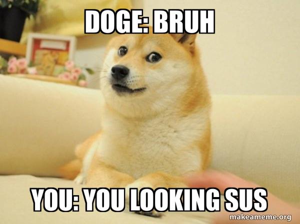 Doge: Bruh You: You Looking Sus - Doge Meme Generator