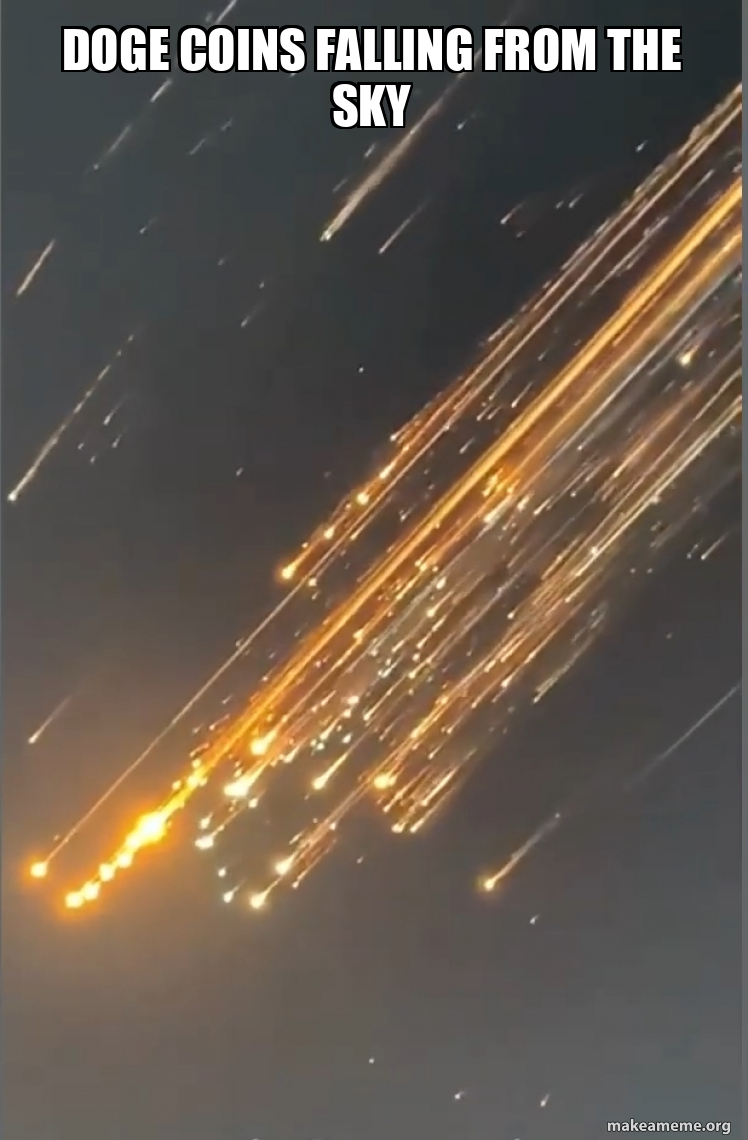 DOGE COINS FALLING FROM THE SKY Meme Generator