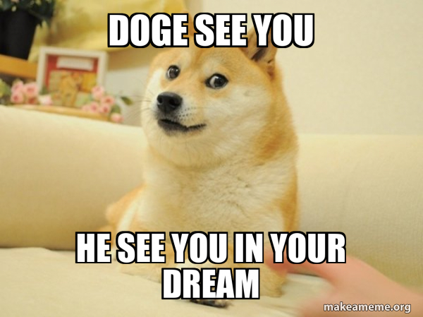 DOGE see you he see you in your dream - Doge Meme Generator