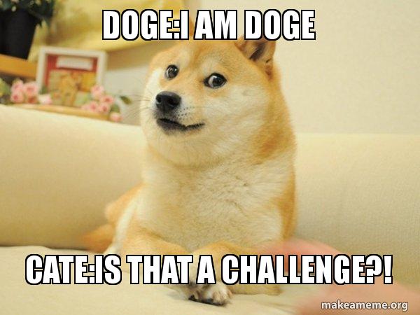 DOGE:I AM DOGE Cate:IS THAT A CHALLENGE?! - Doge Meme Generator