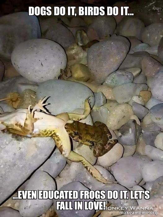 Dogs do it, birds do it... ...even educated frogs do it. let's fall in ...