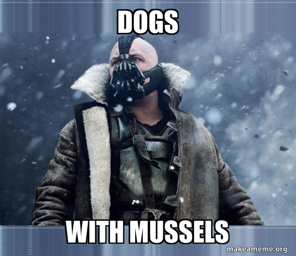 Dogs with mussels - Bane (born into it, molded by it) Meme Generator