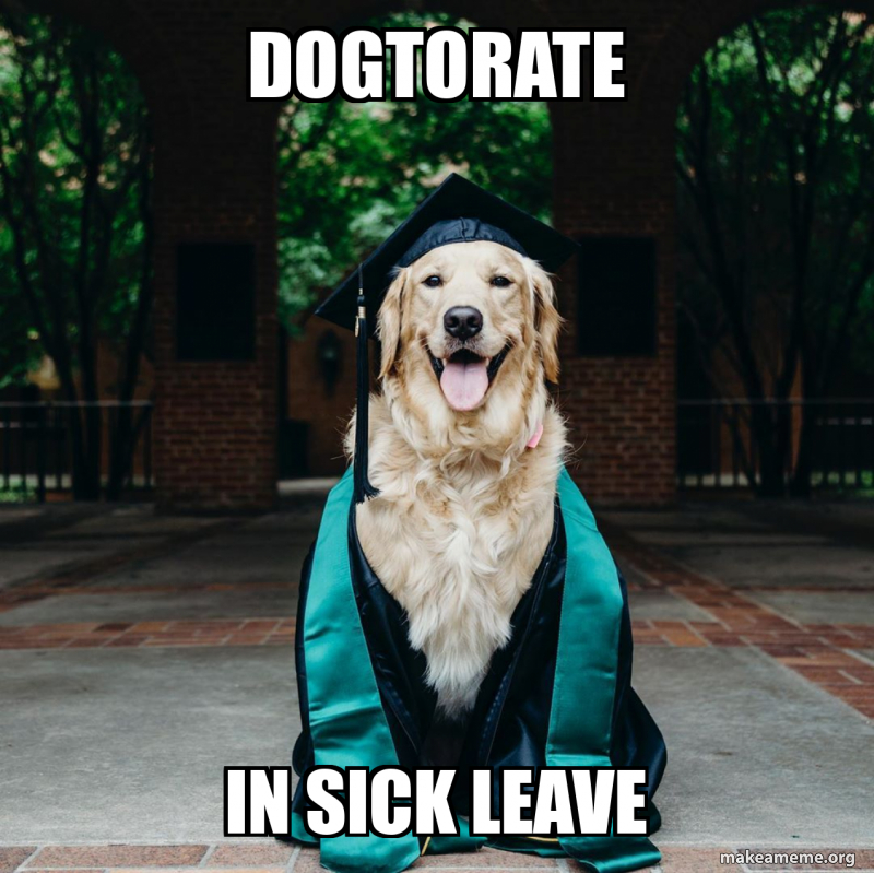 Dogtorate in sick leave Meme Generator