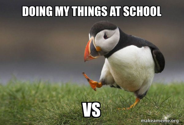 Doing my things at school VS - Unpopular Opinion Puffin Meme Generator