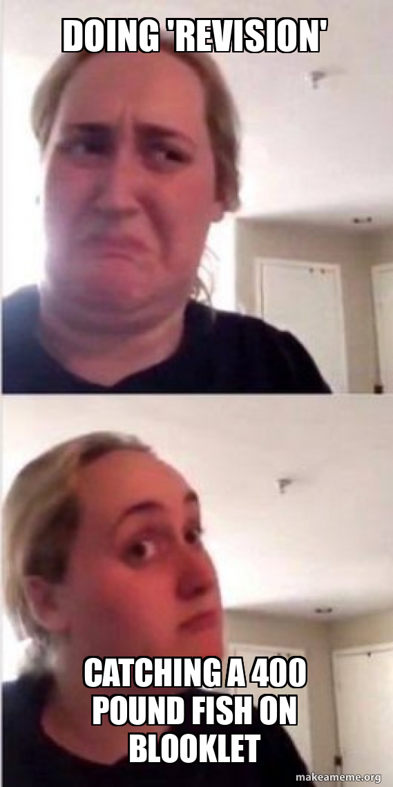 doing 'revision' catching a 400 pound fish on blooklet Meme Generator